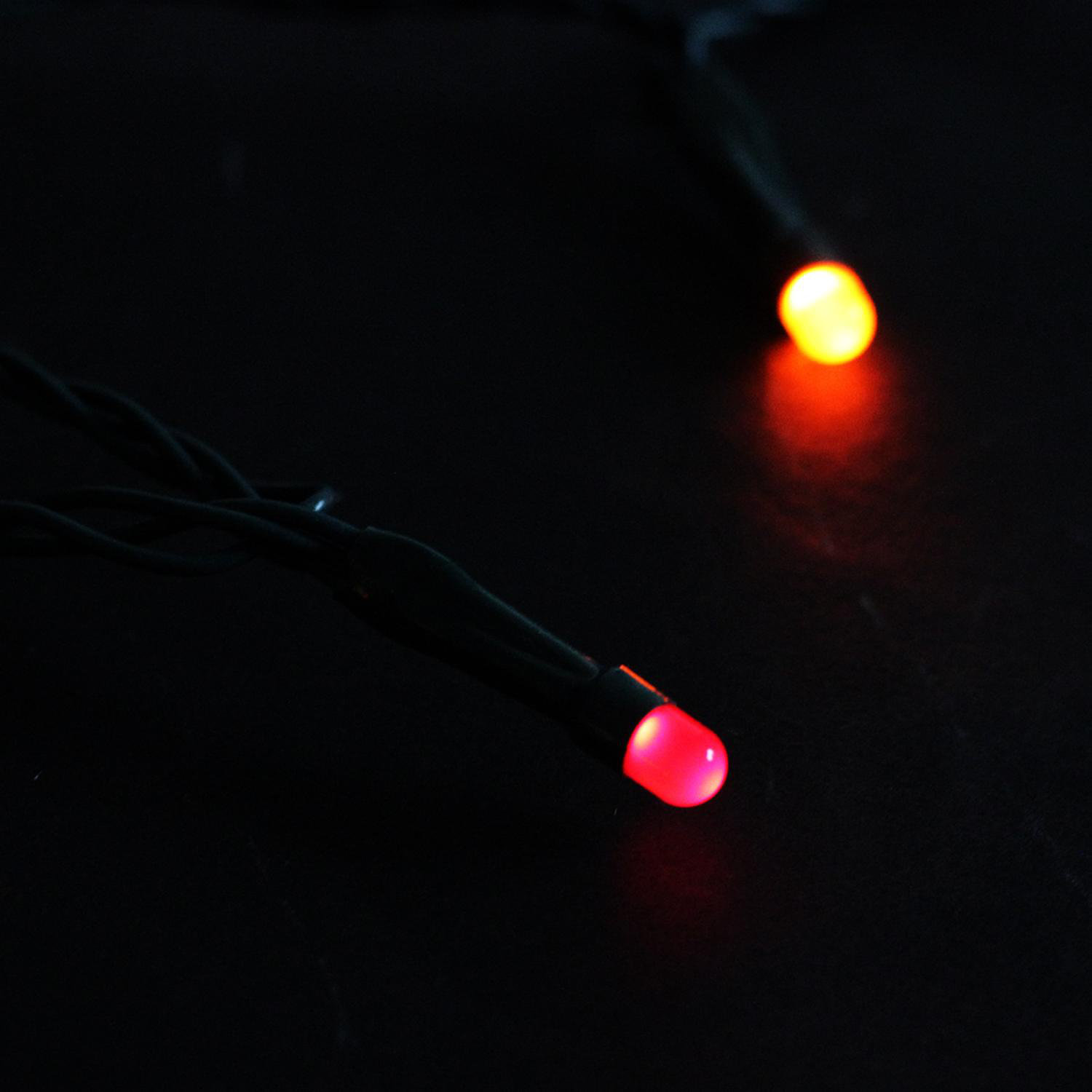 The Holiday Aisle® 15 Orange and Yellow Micro LED Thanksgiving Lights ...