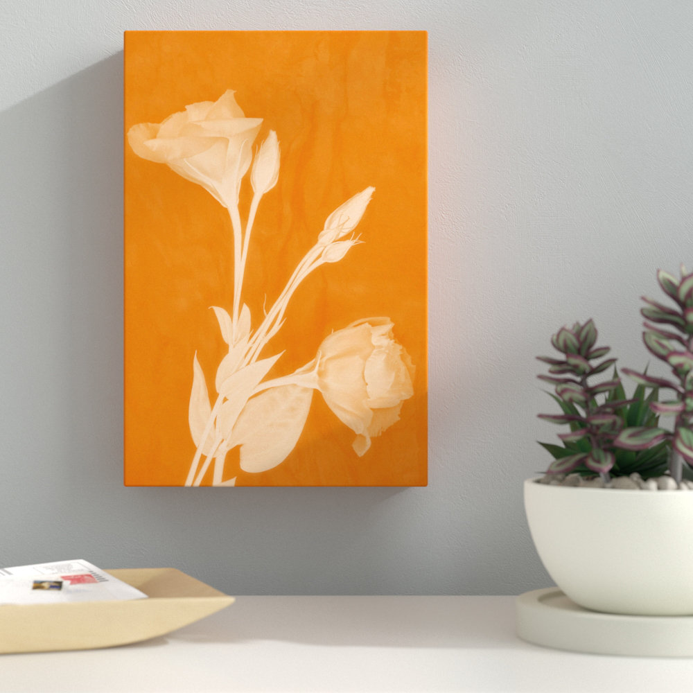 Latitude Run® 'Deep Within' Graphic Art on Wrapped Canvas in Apricot ...