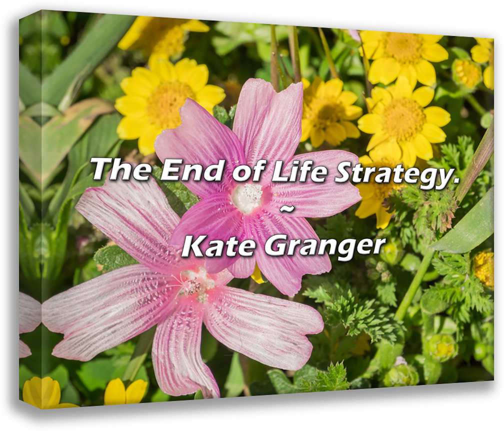 Trinx Kate Granger Quote: The End of Life Strategy. | Wayfair