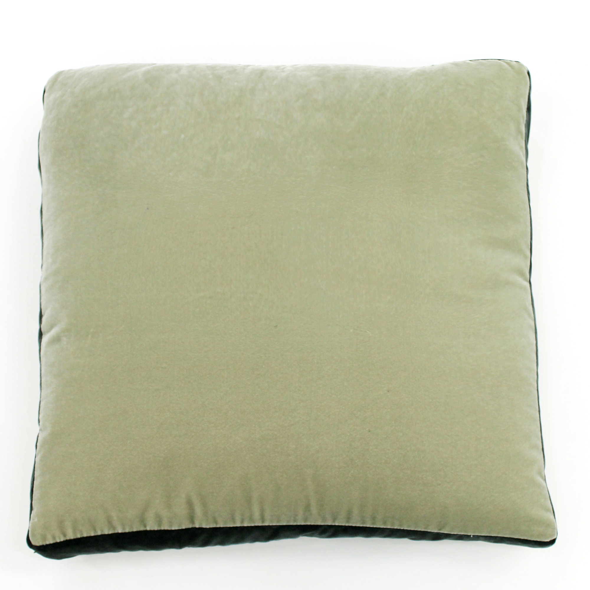 Jiti Square Velvet Pillow Cover & Insert | Wayfair