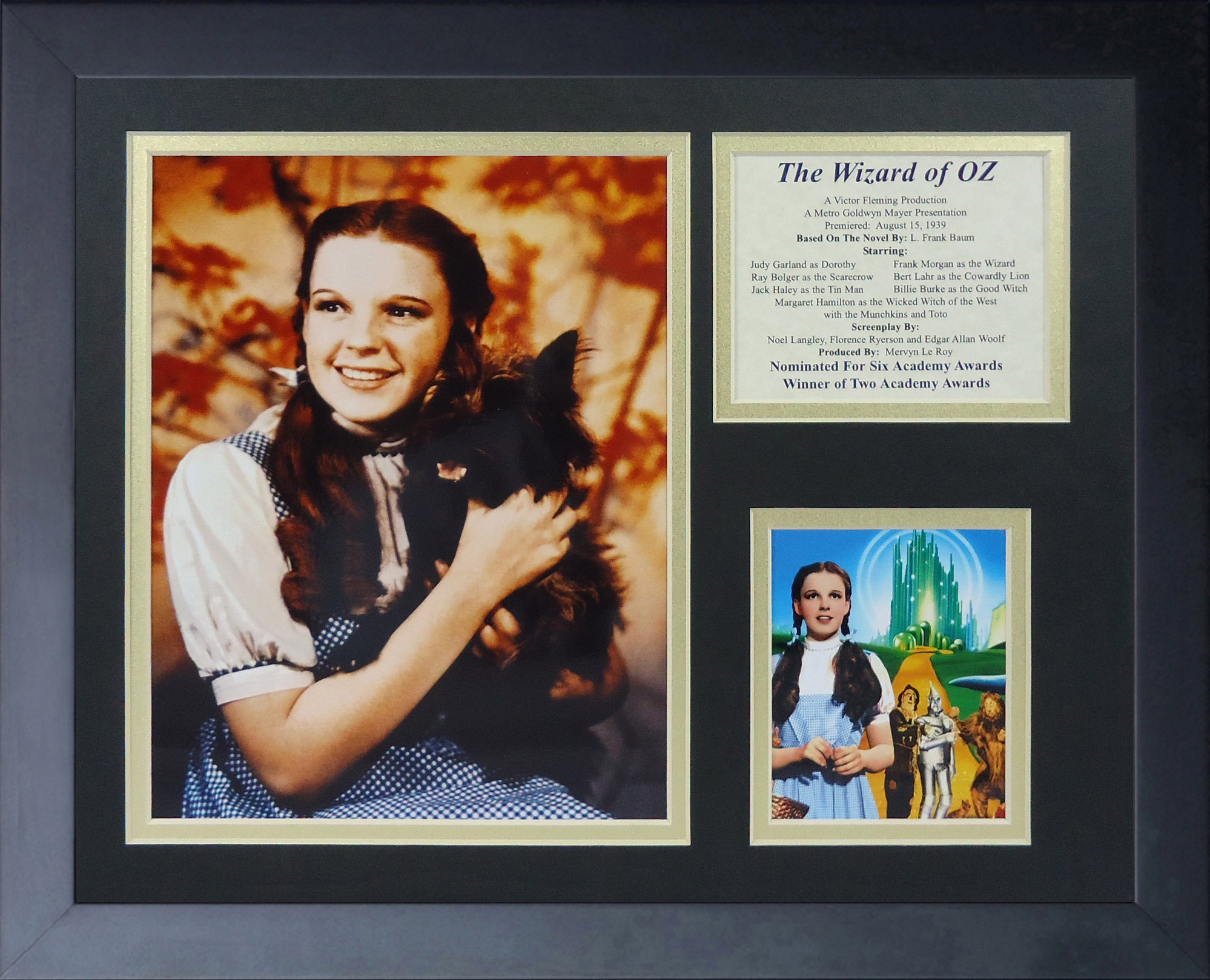 Legends Never Die Wizard of Oz Picture Frame Memorabilia | Wayfair