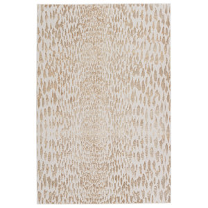 Animal Print Area Rugs You'll Love | Wayfair