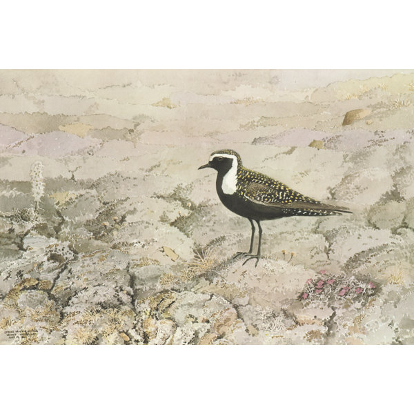 August Grove Perched by George Sutton - Wrapped Canvas Art Prints ...