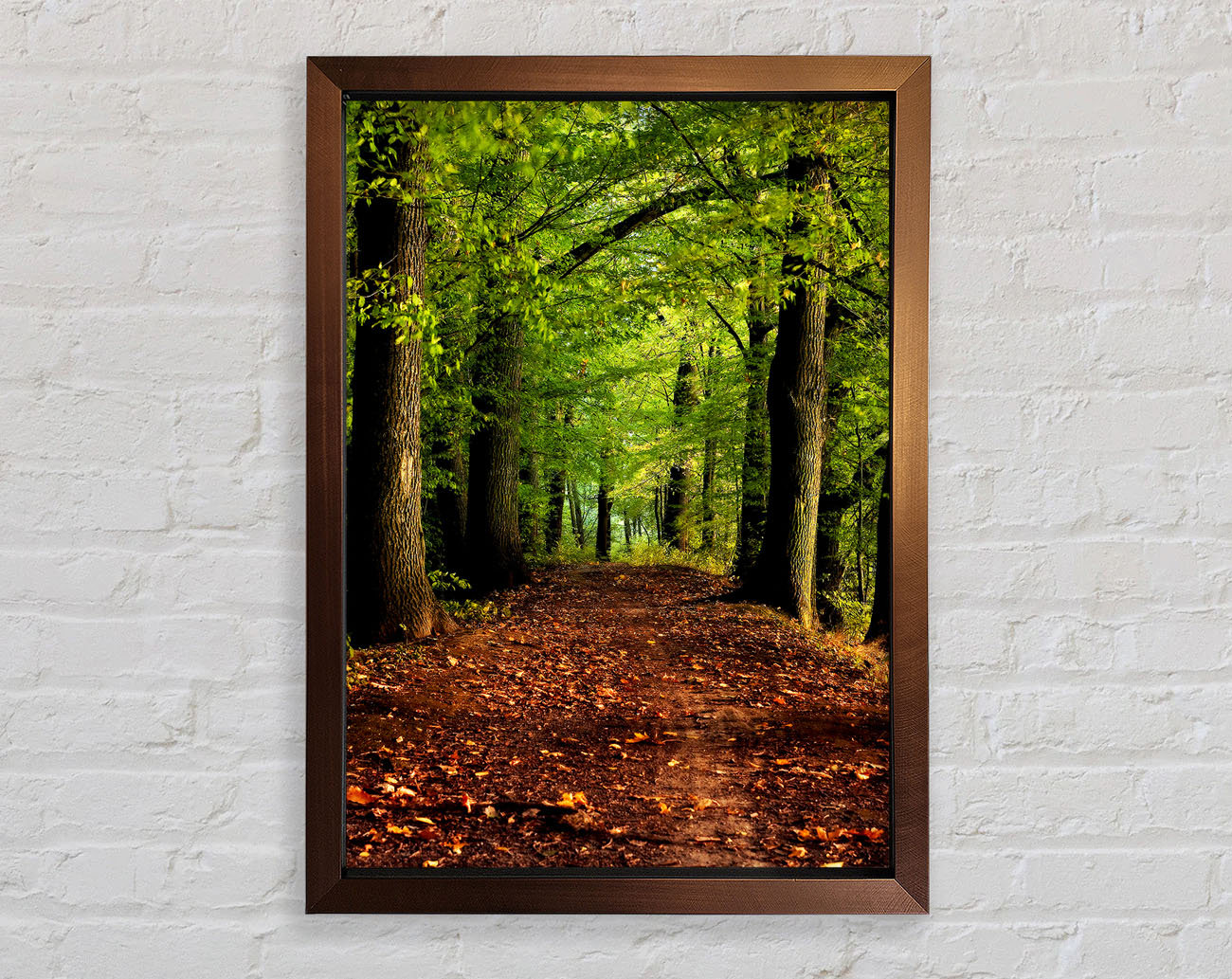Union Rustic Woodland Path Walk Framed Print | Wayfair.co.uk