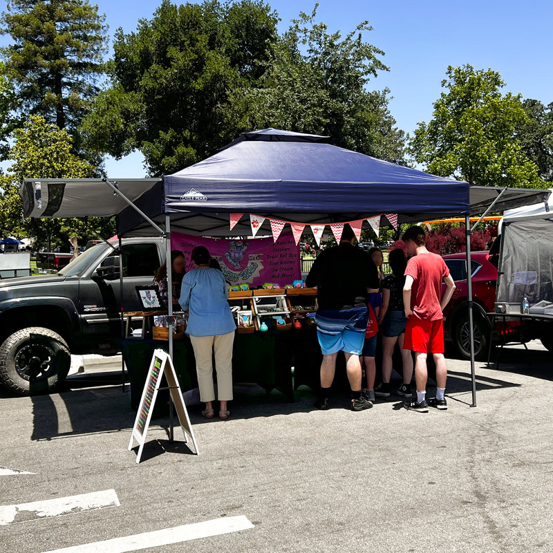EAGLE PEAK Pop Up Canopies 17 Ft. W x 10 Ft. D Metal Patio Gazebo ...