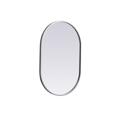 RE/FINE™ Sabine Metal Pill Wall Mirror & Reviews | Wayfair