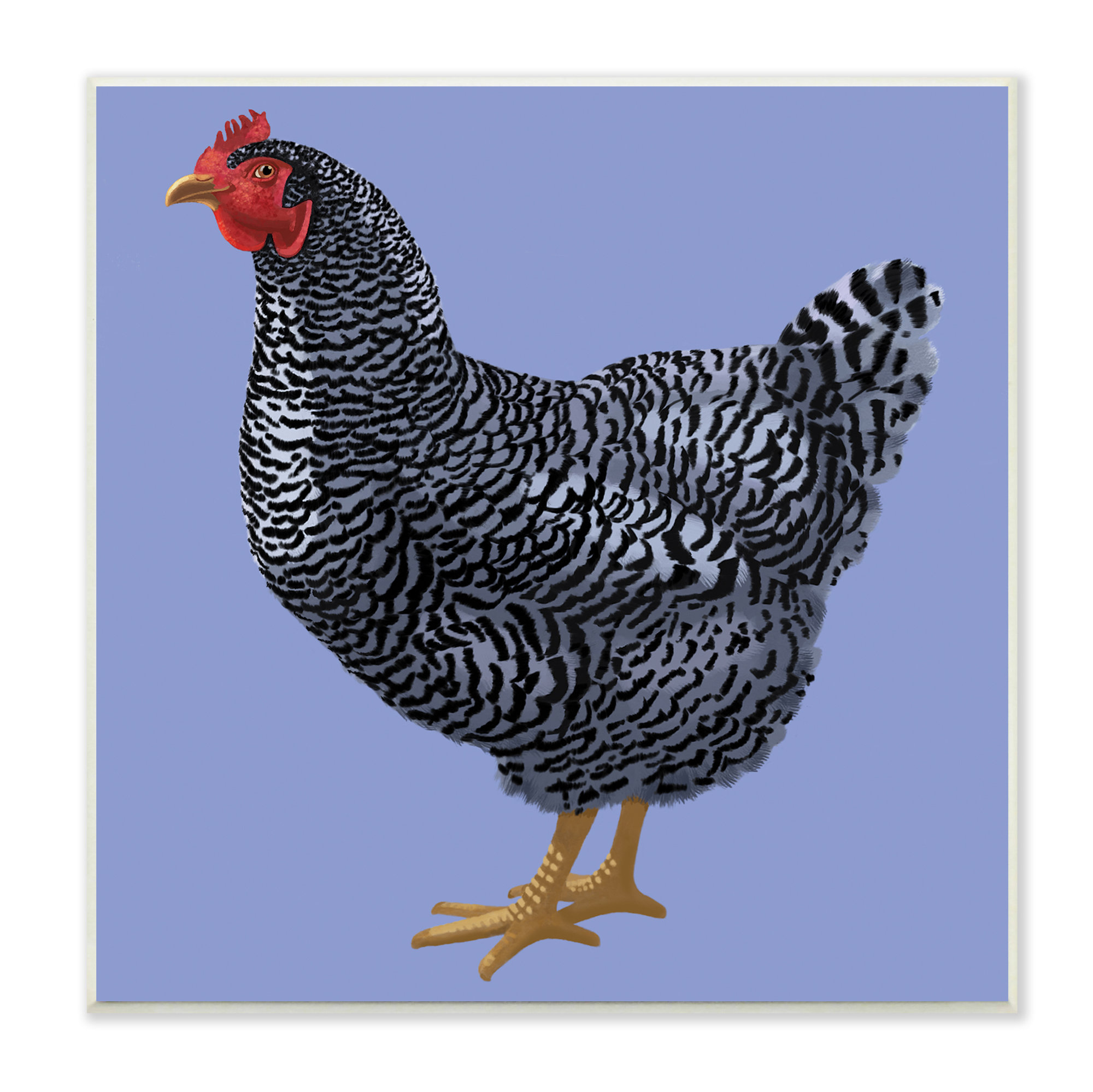 smiling rooster farm