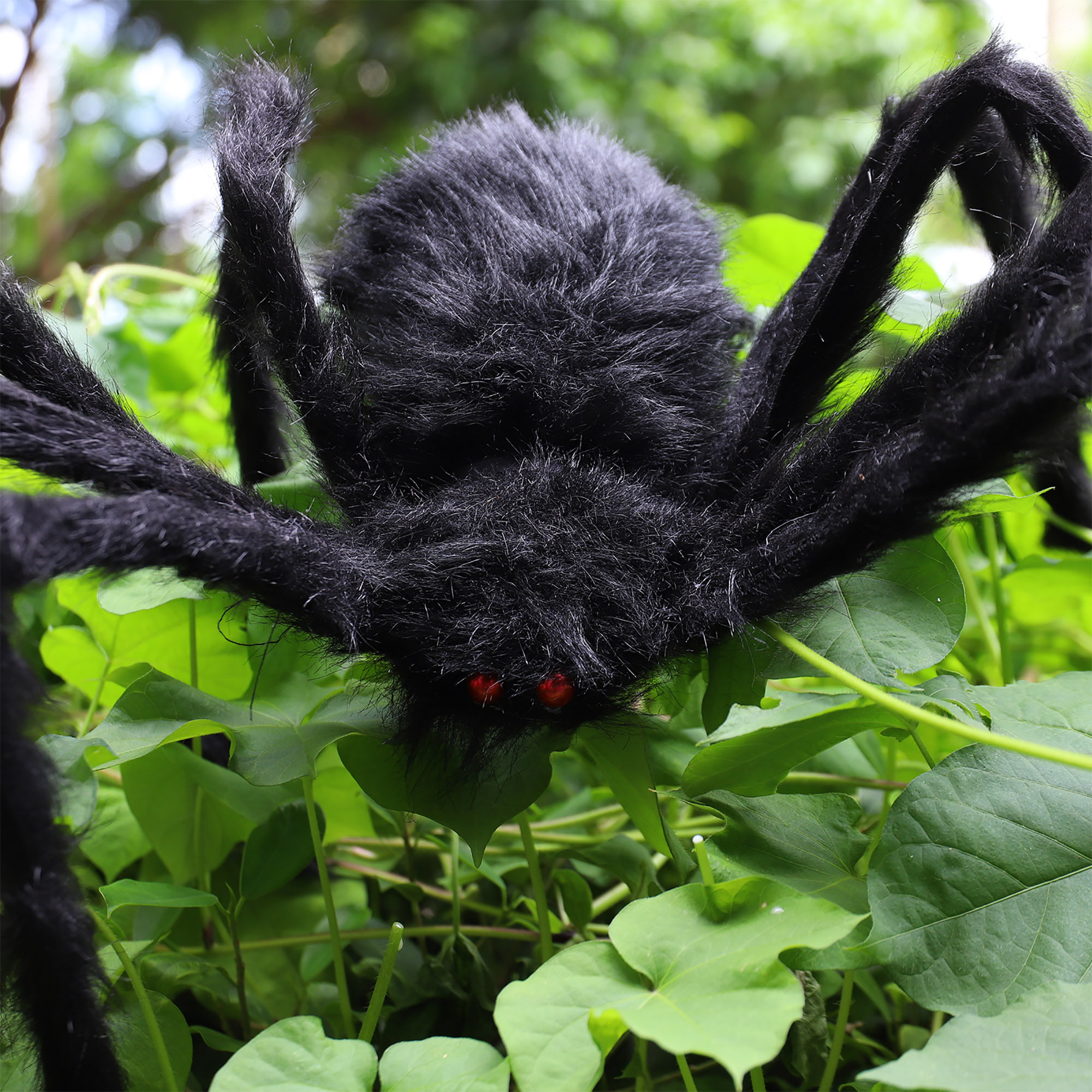 The Holiday Aisle® Halloween Decoration Realistic Spider Sets,150Cm/59 ...