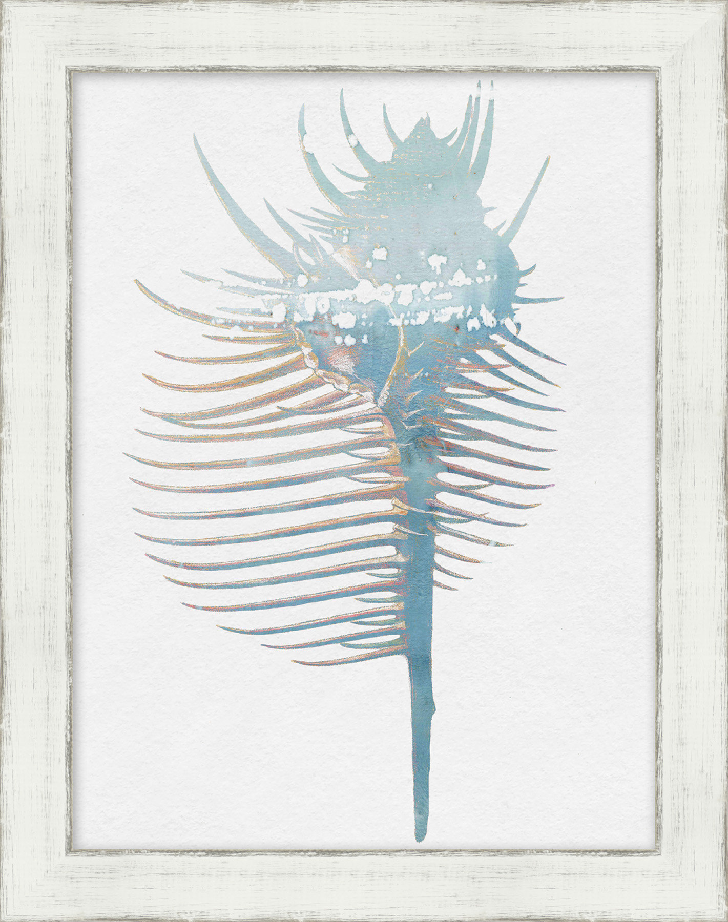 Wendover Art Group Spiny Shell Relief - Picture Frame Painting on Paper ...