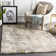 Williston Forge Bartol Rug & Reviews | Wayfair