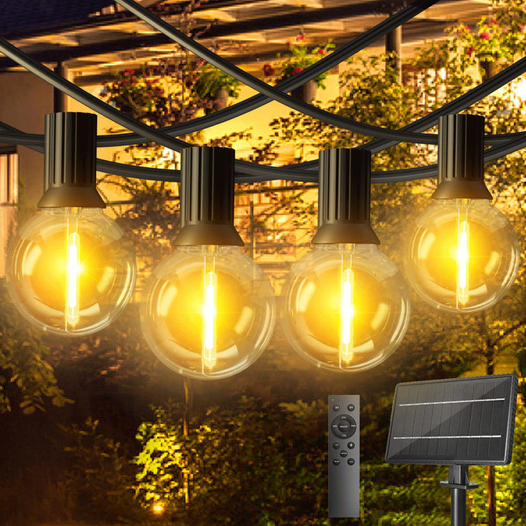 Dakota Fields Azana 1828.8Cm LED Solar Powered 1 Standard String Light ...