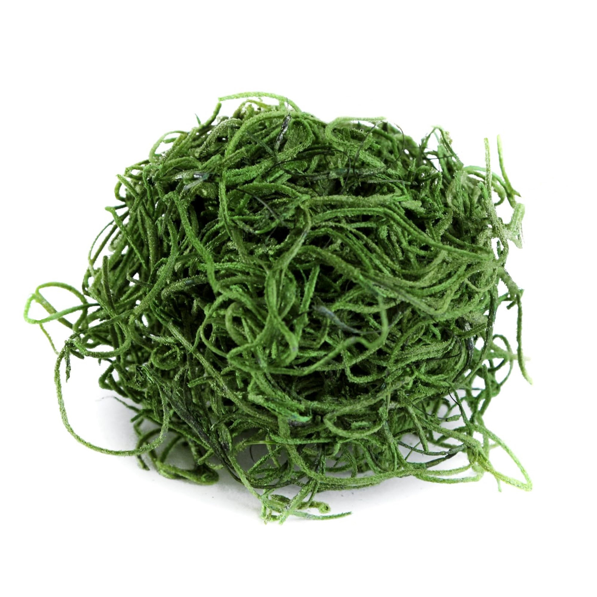 Dakota Fields SuperMoss Preserved Spanish Moss, Chartreuse, Approx. 2oz ...