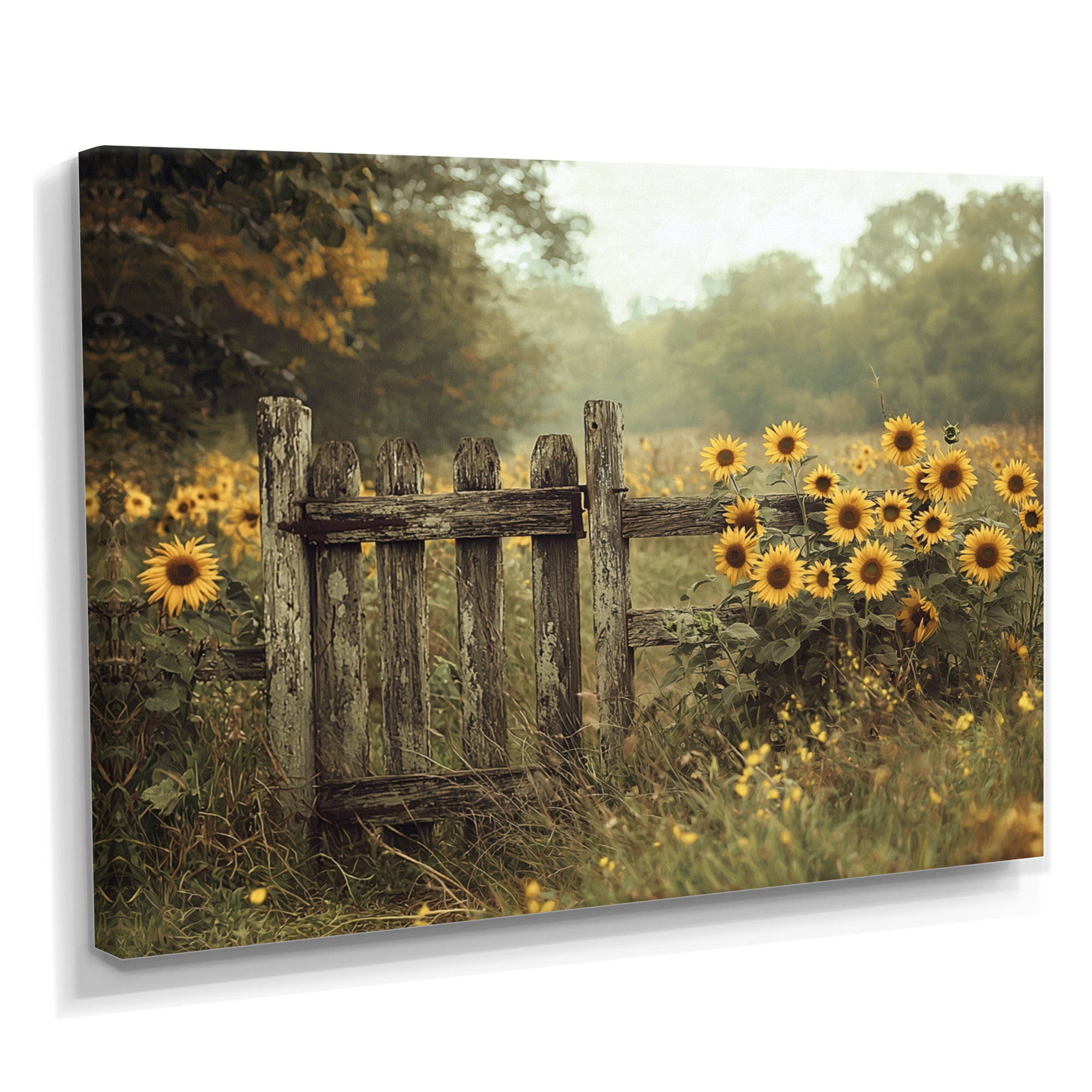 August Grove® Dontra Sunflowers At The Pasture Gate - Sunflowers Wall ...