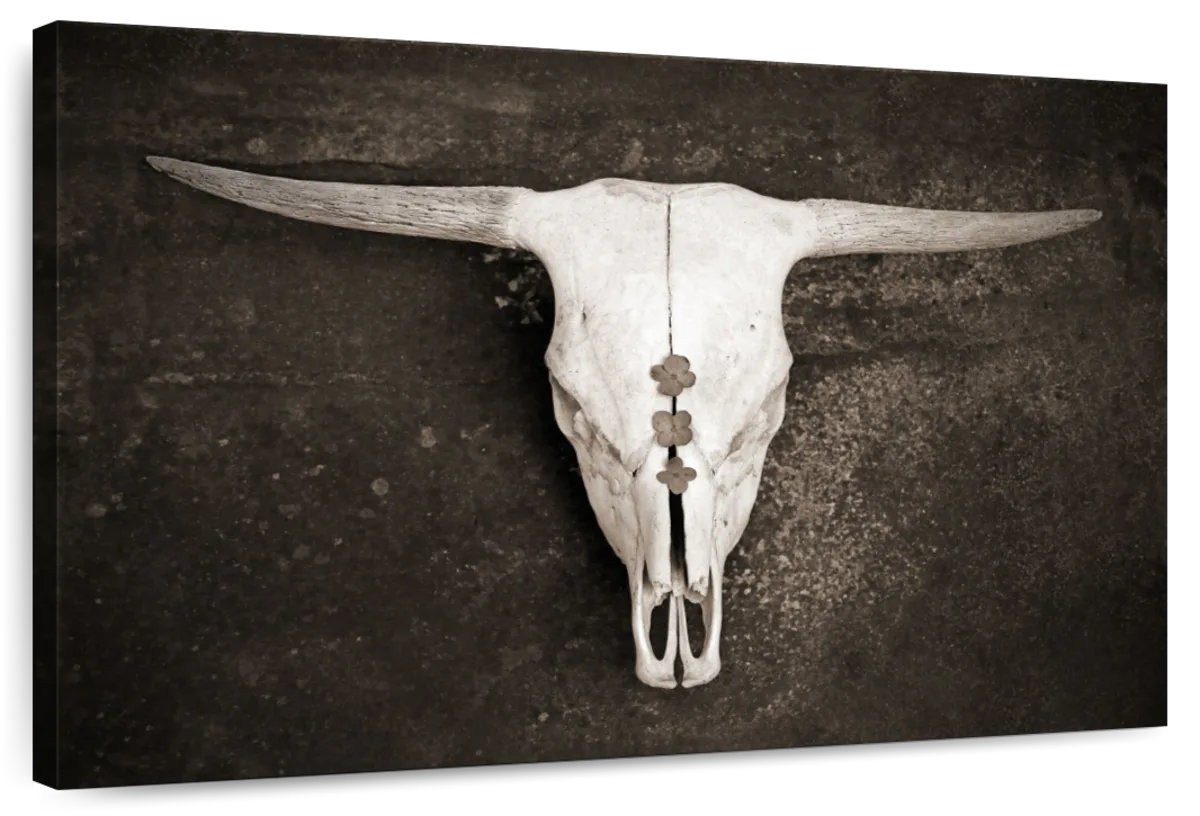 Elephant Stock Sepia Cattle Skull - Wayfair Canada