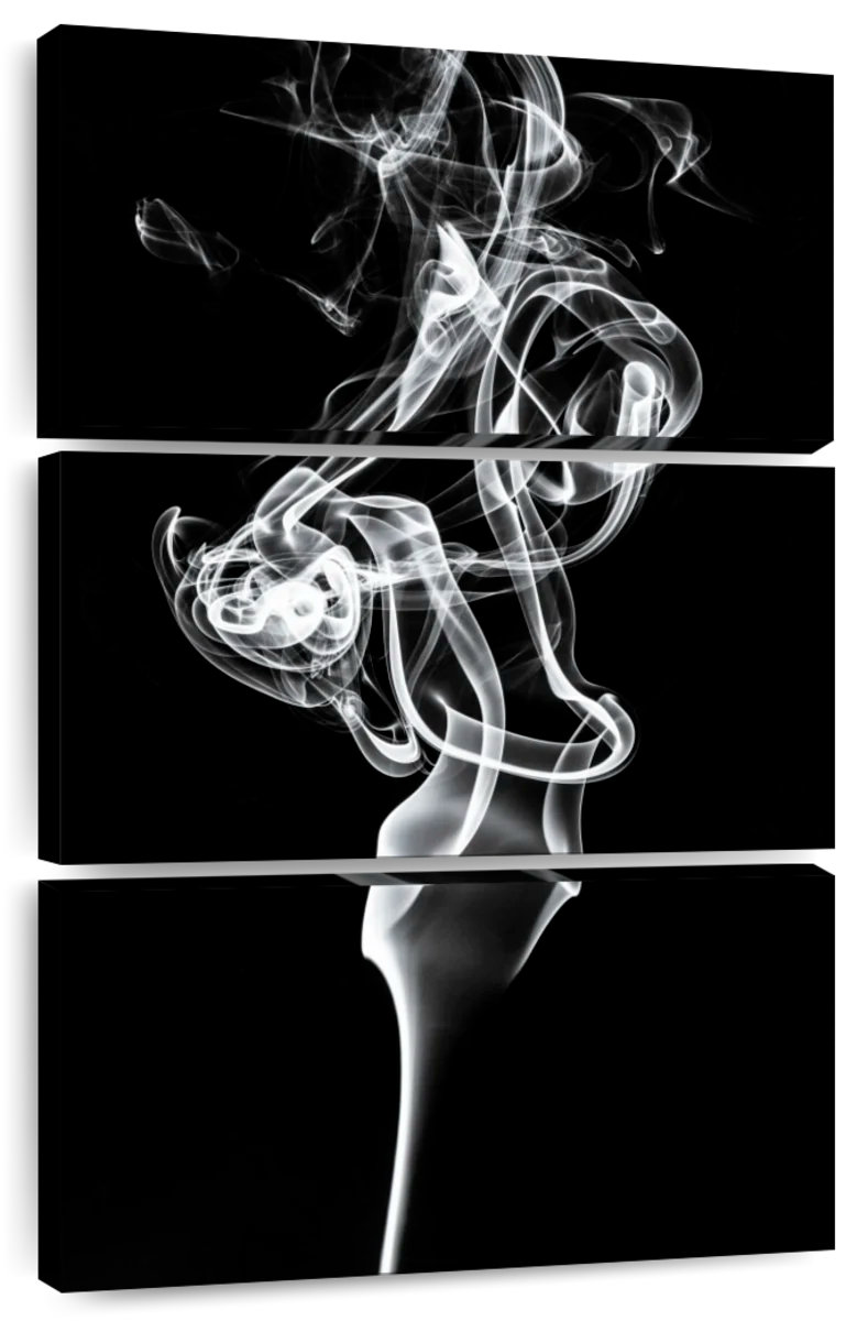 Ebern Designs Senne Abstract White Smoke - Tulip Dream | Wayfair
