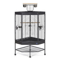 Bird Aviaries | Wayfair