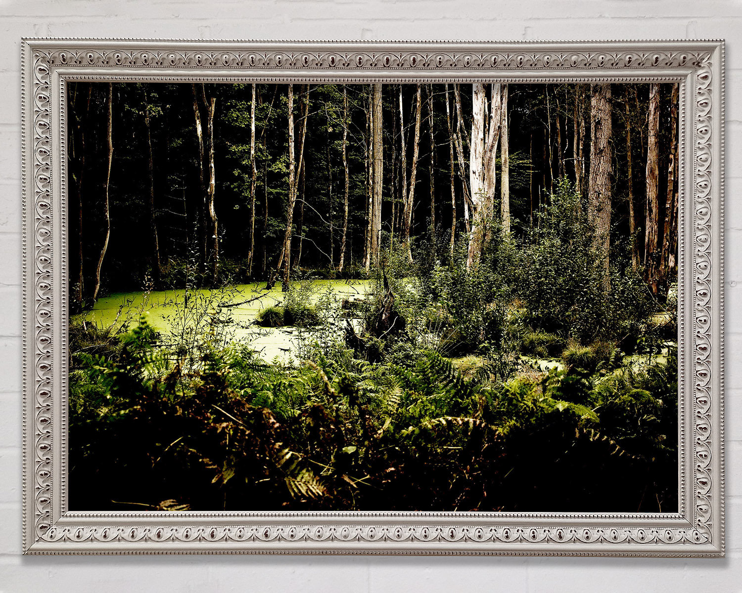 Bright Star Swamp In The Depth Of The Forest Framed Print | Wayfair.co.uk