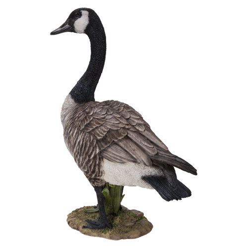 Hi-Line Gift Ltd. Standing Canada Goose Statue & Reviews | Wayfair
