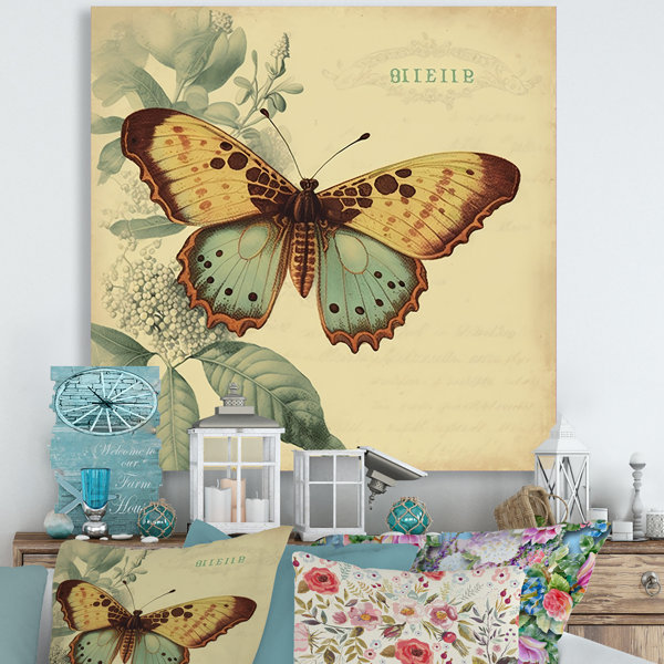 August Grove® Angenita Vintage Illustration Of Butterfly VI On Canvas ...