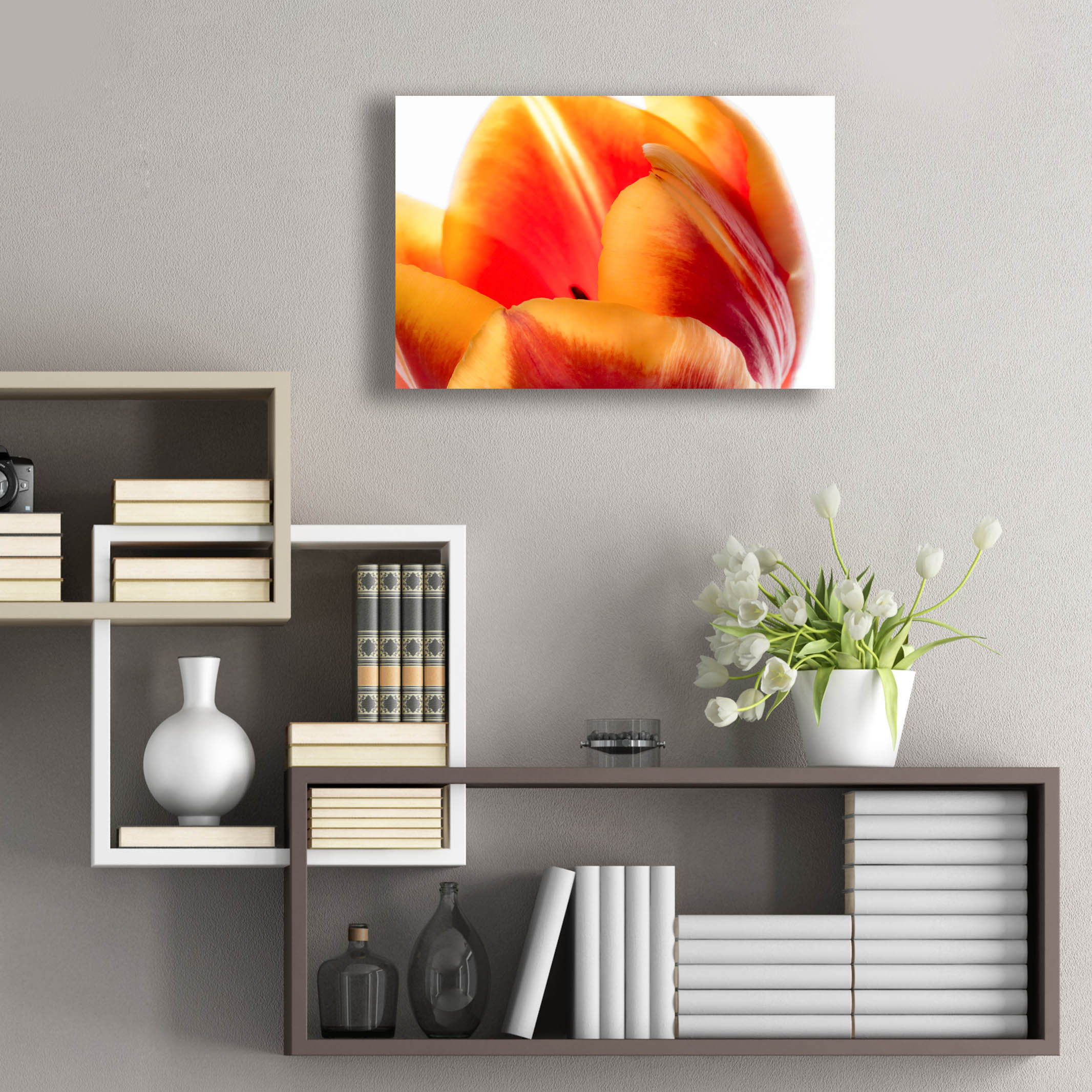Latitude Run® " Just A Peek " by Pamela Plummer | Wayfair