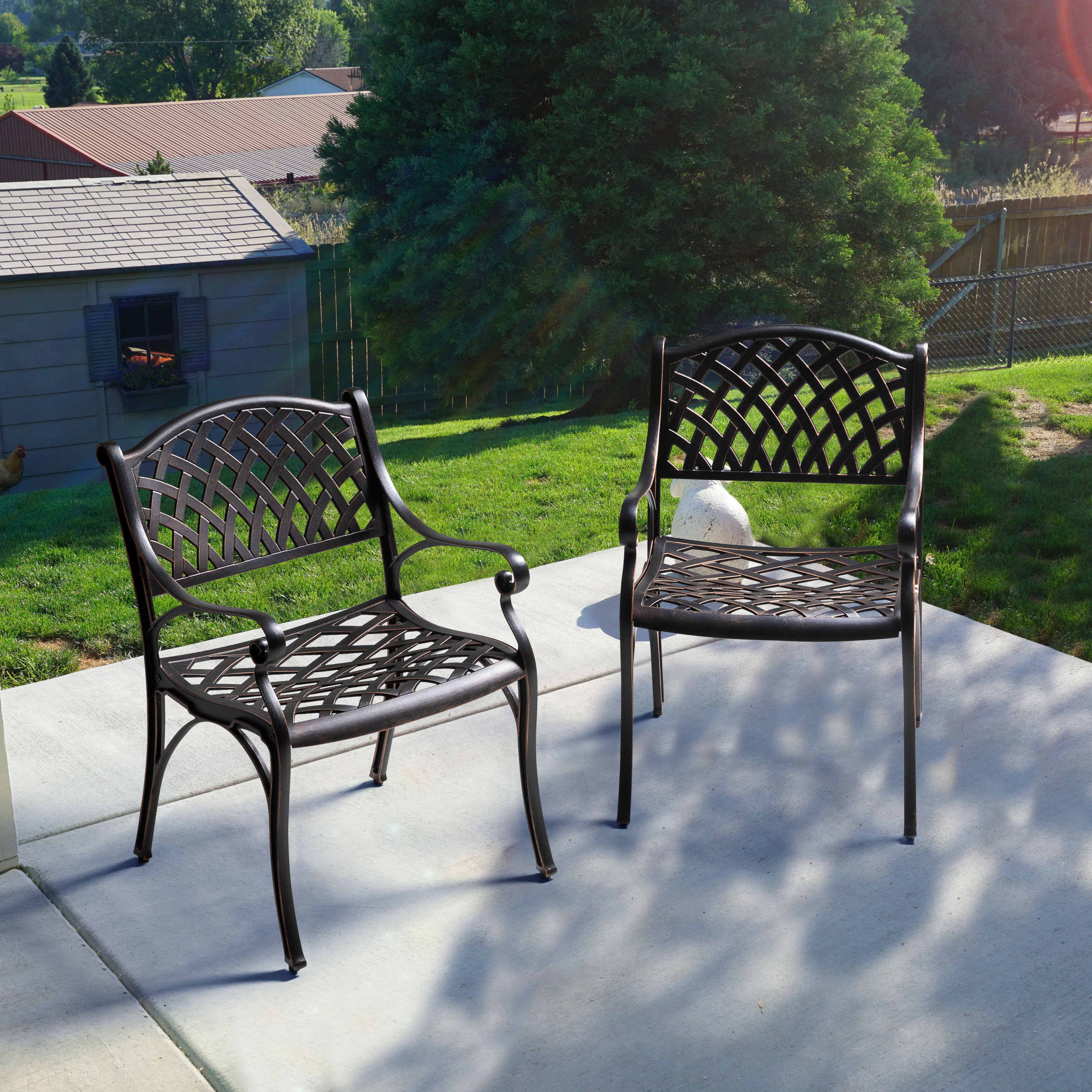 Canora Grey Mccready Outdoor Patio Dining Chair of 2, Cast Aluminum ...