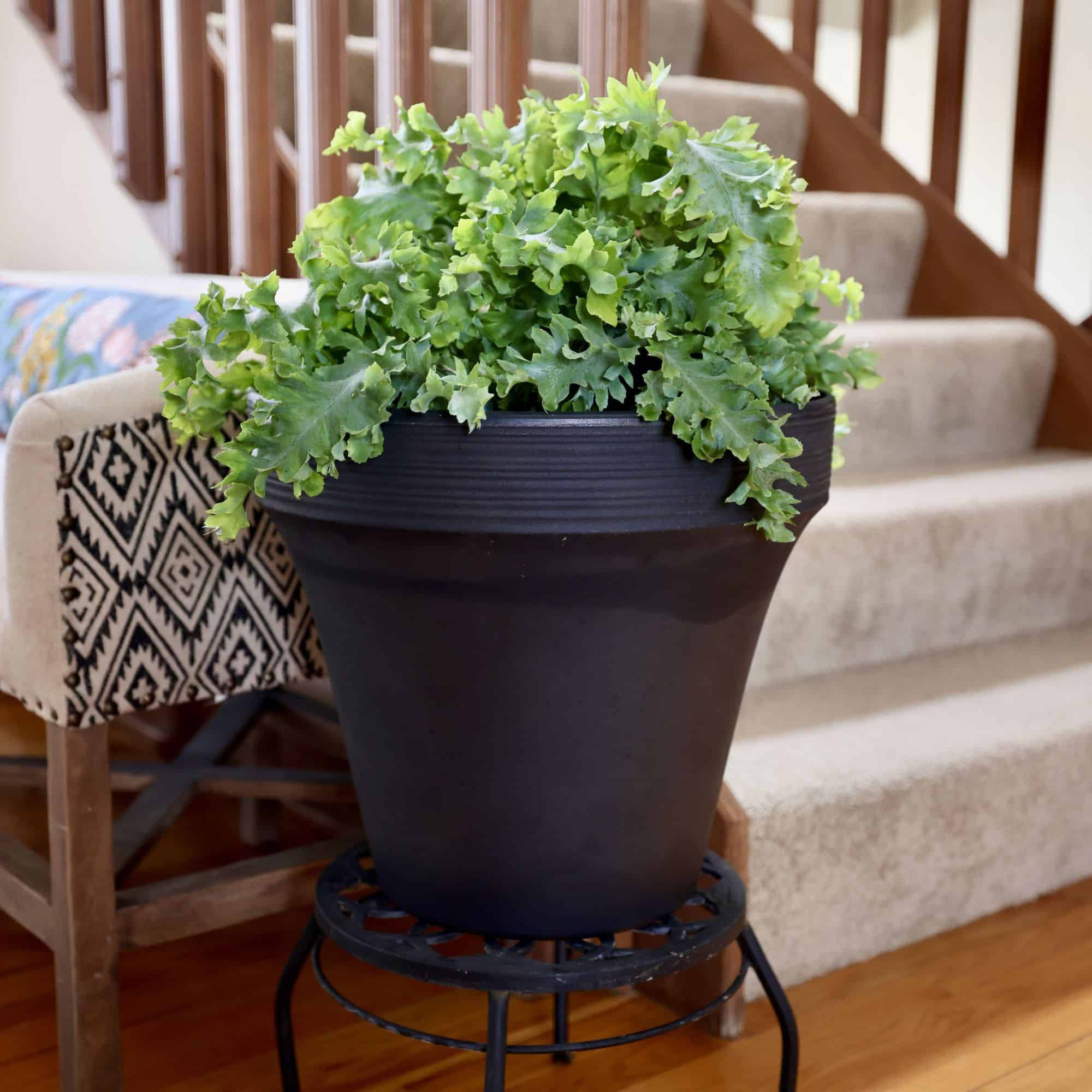 Dakota Fields TruDrop Flex Ridge Sustainable Pot | Wayfair.co.uk