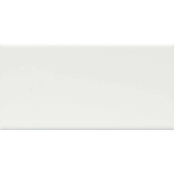 Emser Tile Catch™ 2" x 8" Ceramic Subway Tile | Wayfair