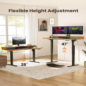 Inbox Zero Ergonomic Electric Standing Desk With Drawers: Adjustable ...