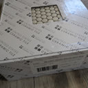 Roca Tiles BG Penny Round 12x12 Mos Wall & Floor Tile & Reviews | Wayfair