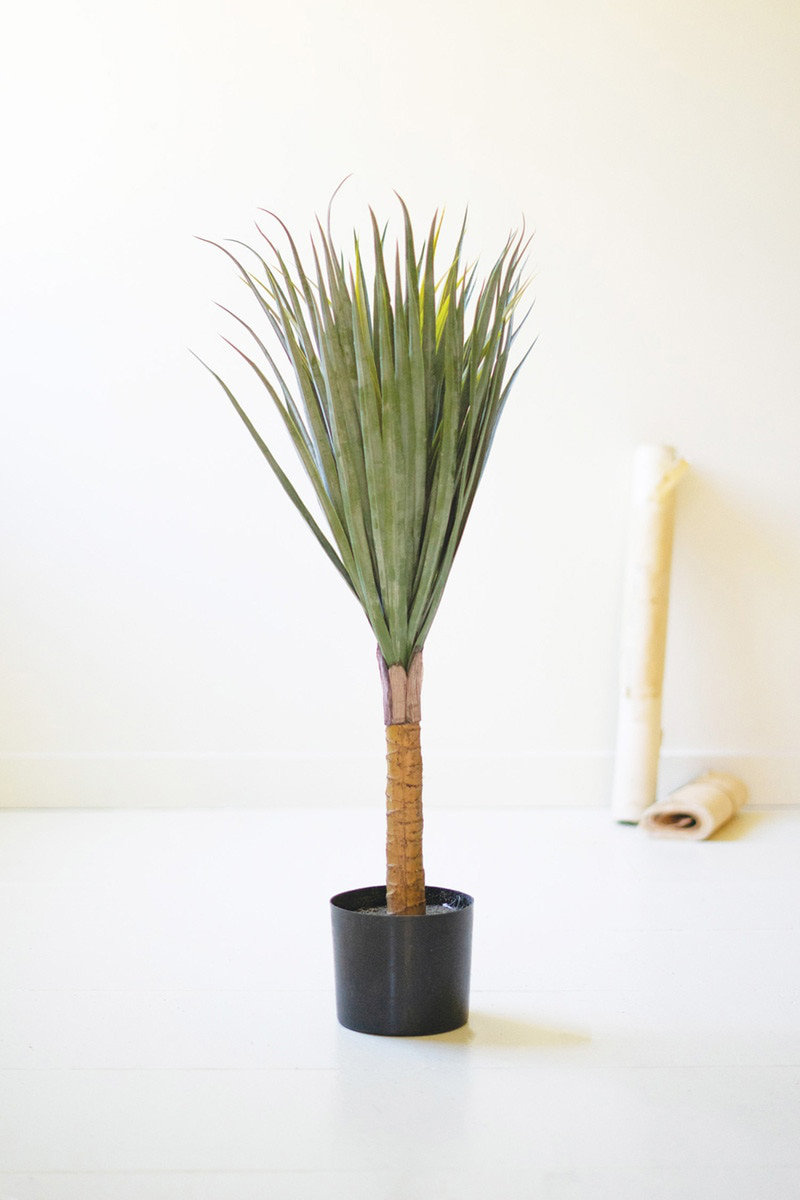 Arlmont & Co. Botanica Spiky Yucca Tree in a Black Plastic Pot | Wayfair