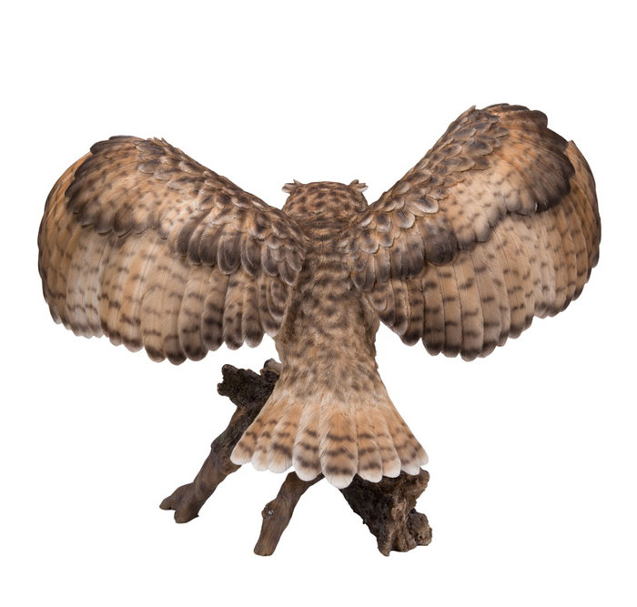 Hi-Line Gift Ltd. Eagle Owl on Branch with Open Wings Statue & Reviews ...