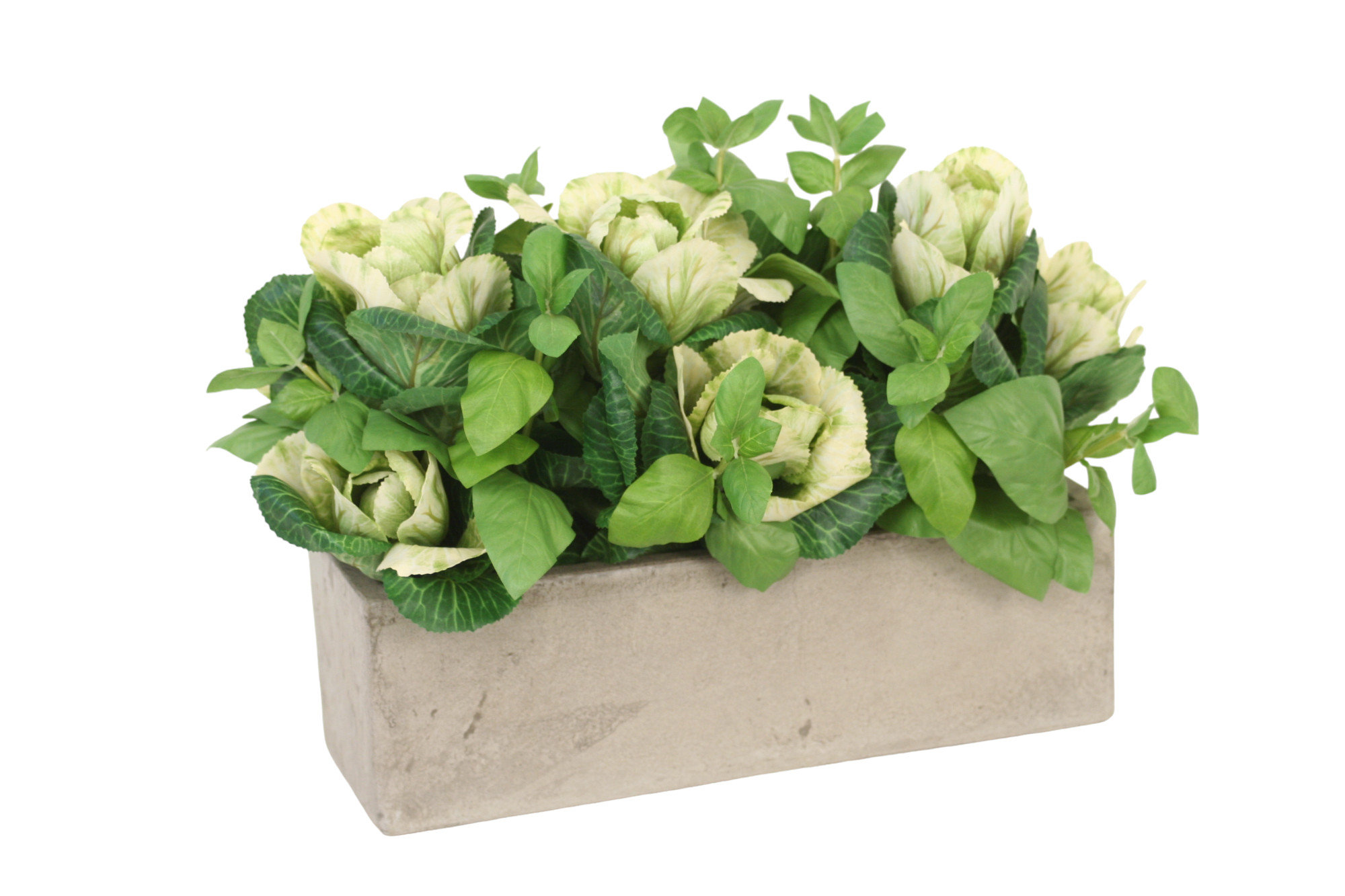 Distinctive Designs Kale Mix In Window Box | Perigold
