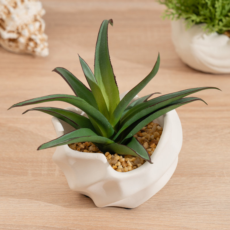 The Seasonal Aisle 16cm Spiky Faux Succulent in Wavy Cement Pot ...