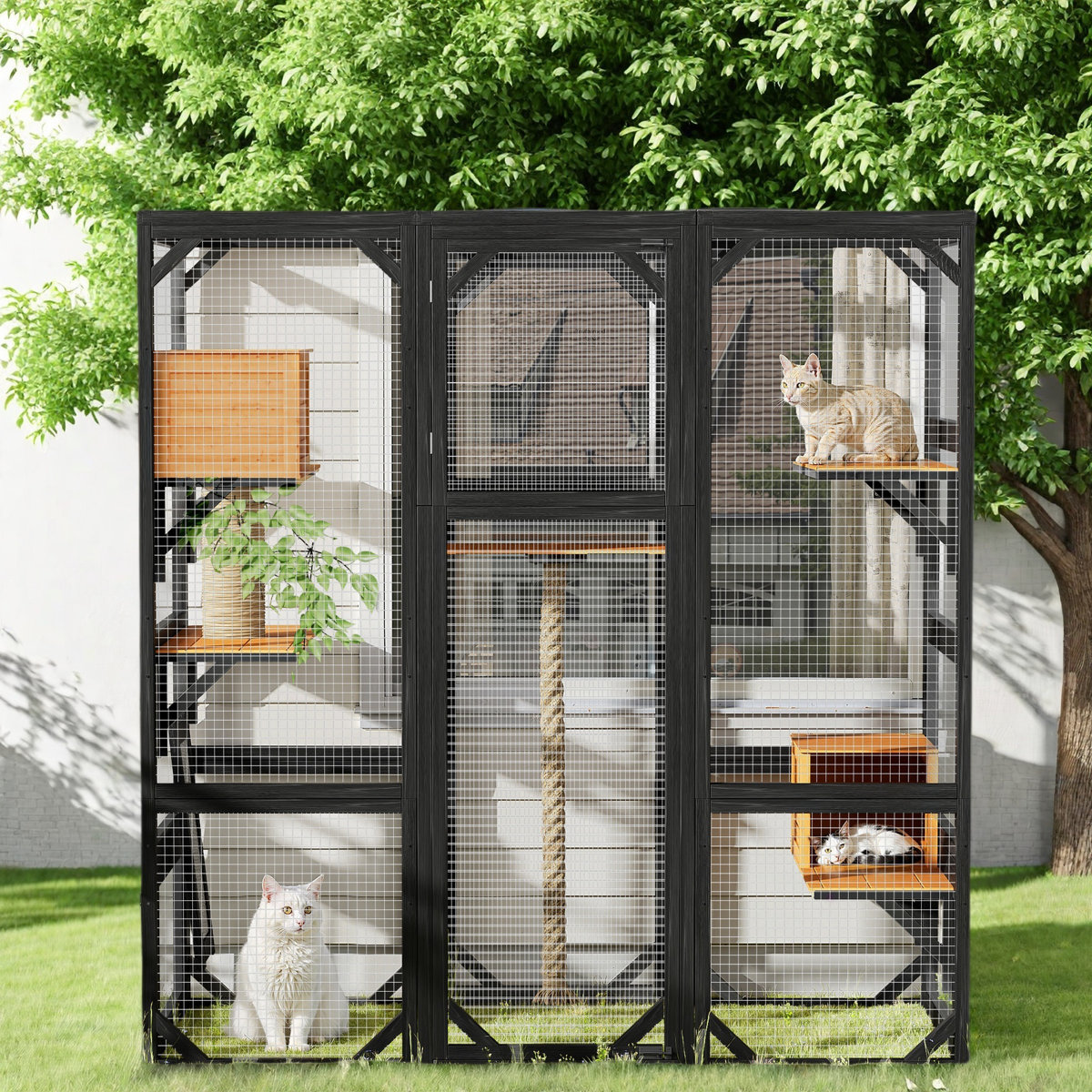 Tucker Murphy Pet™ Outdoor Cat House With Double Enter Doors, Three ...