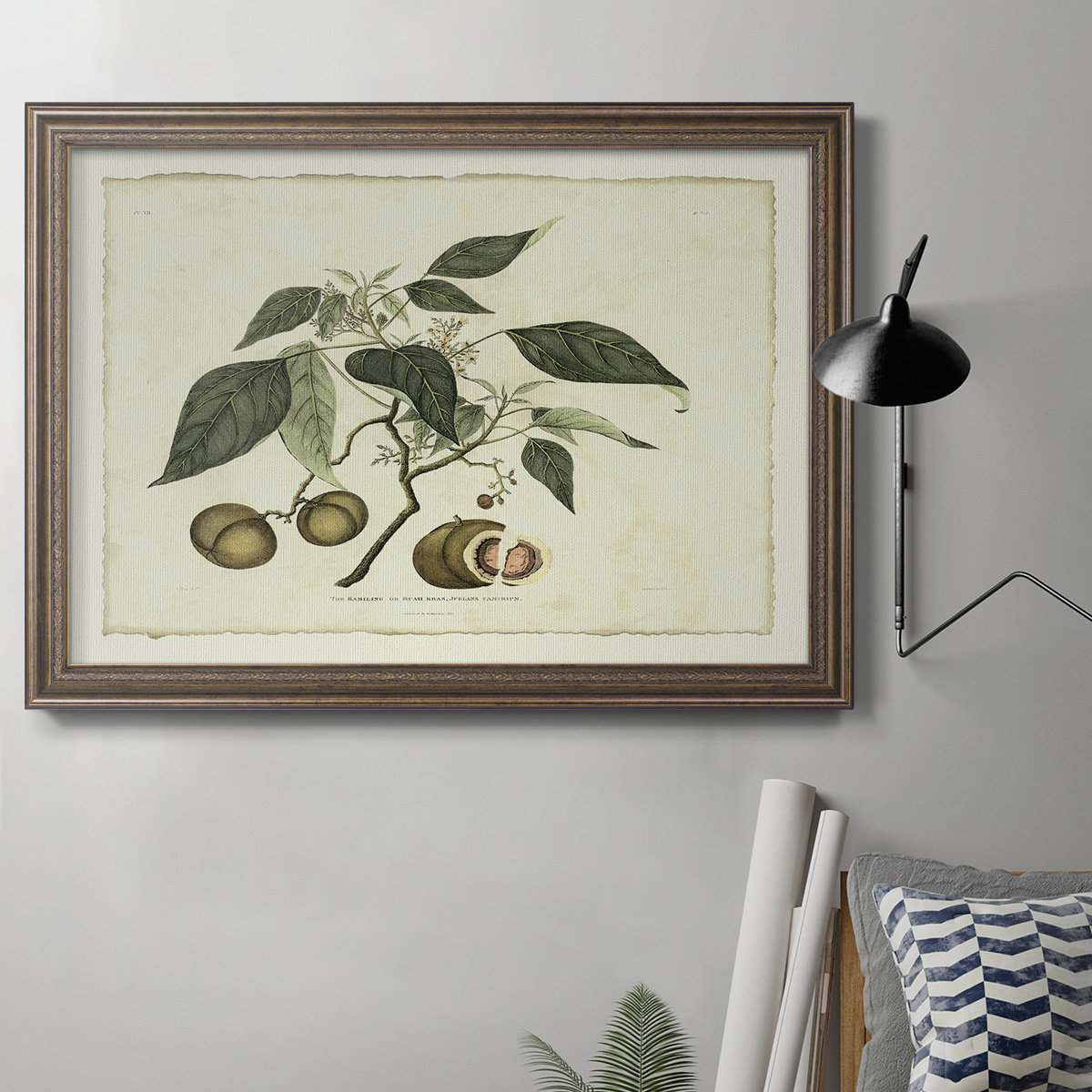 Red Barrel Studio® Crackled Delicate Botanical II (AH) Premium Framed ...