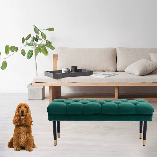 Everly Quinn Holley Velvet Upholstered Bench | Wayfair