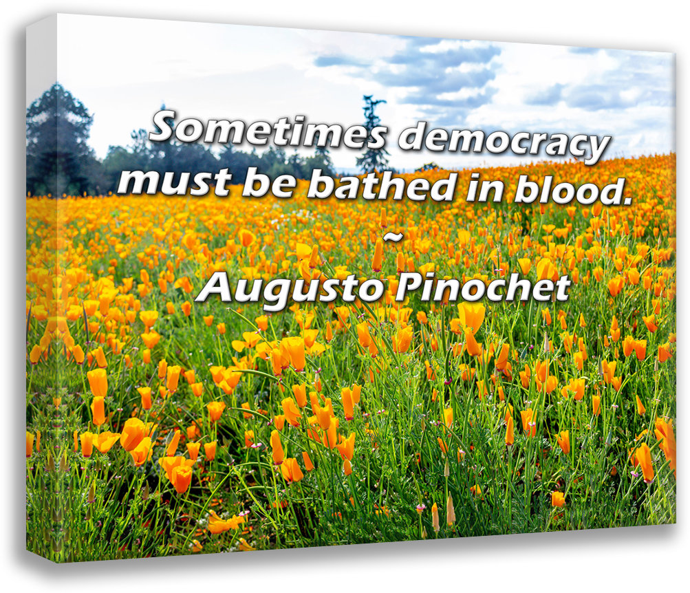 Latitude Run® Artsy Quote By Augusto Pinochet Gallery Wrapped Canvas ...