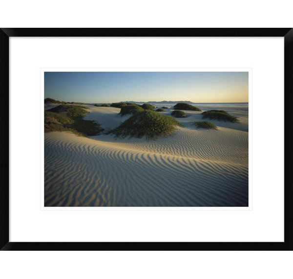 Global Gallery " Sand Dunes Stabilized By Vegetation, Magdalena Island ...