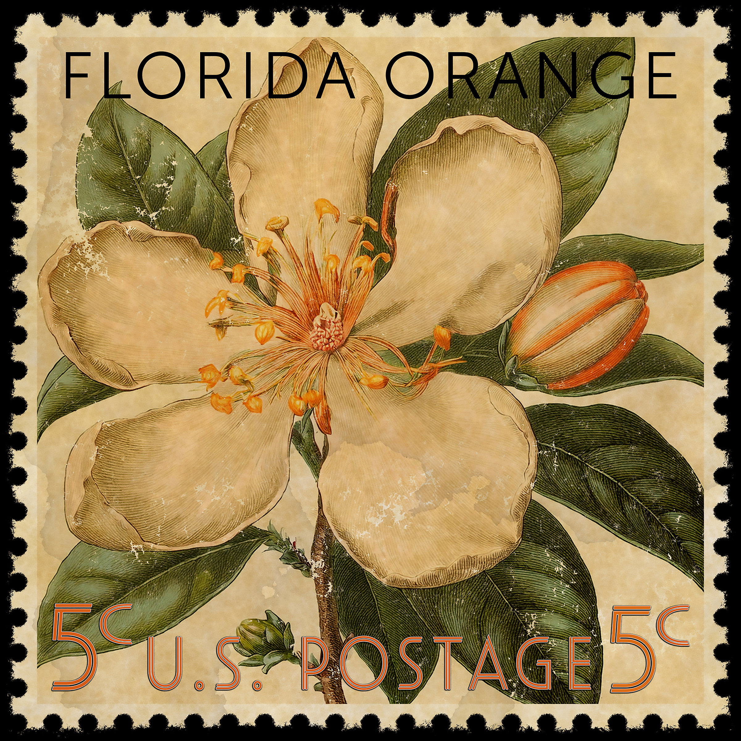 Trinx Florida State Flower Orange Blossom Postage Stamp by Grotto ...