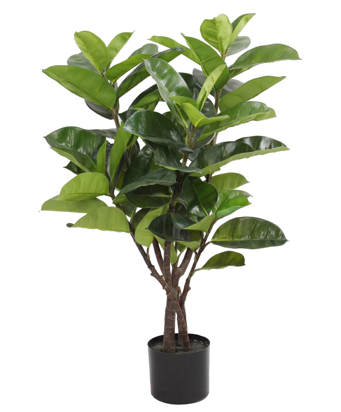 Gracie Oaks Ayleth Artificial Flowers and Plants Rubber Tree in Pot ...