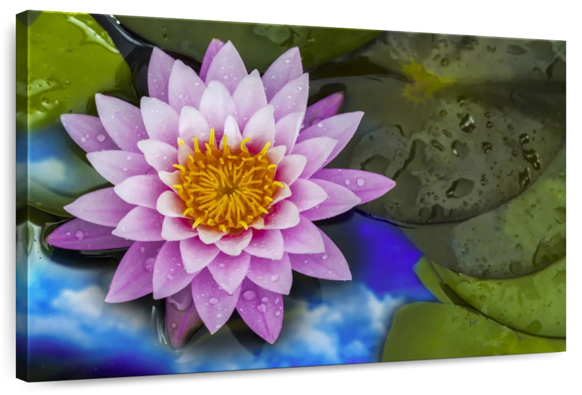 Lark Manor™ Harnek Heavenly Lotus | Wayfair