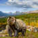 Alpen Home Grizzly Bear In Glacier National Park by JeffGoulden - No ...