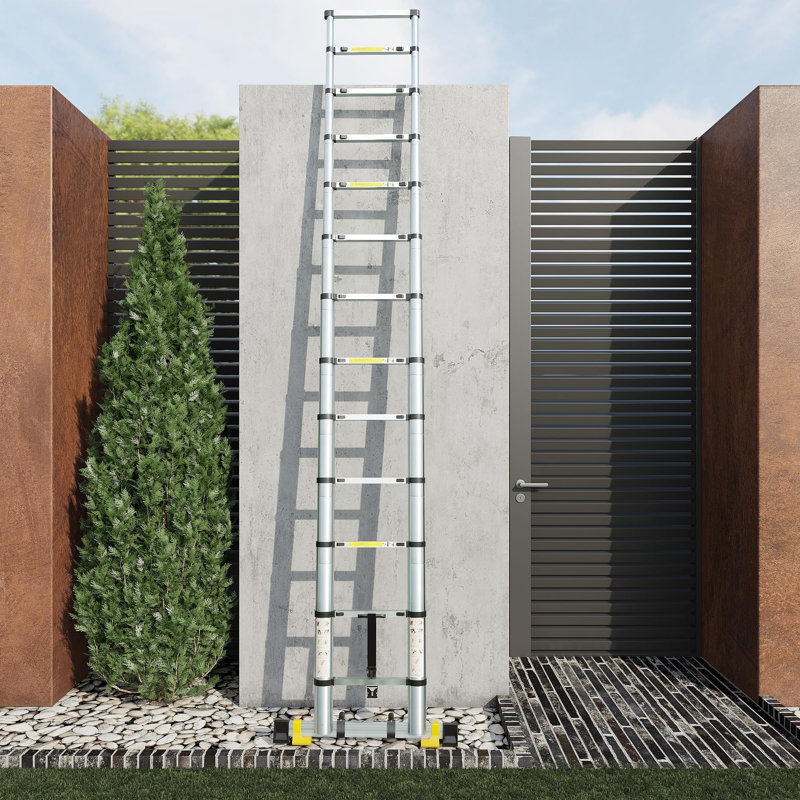 WFX Utility™ Aluminum Lightweight Extension Ladder | Wayfair