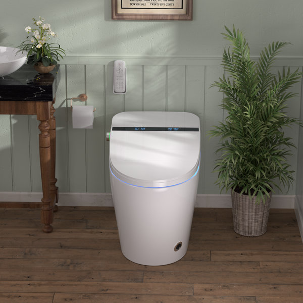 BCAN Smart Toilet with Massage Bidet, Auto Open Lid/Seat, 1.28 Gallons ...