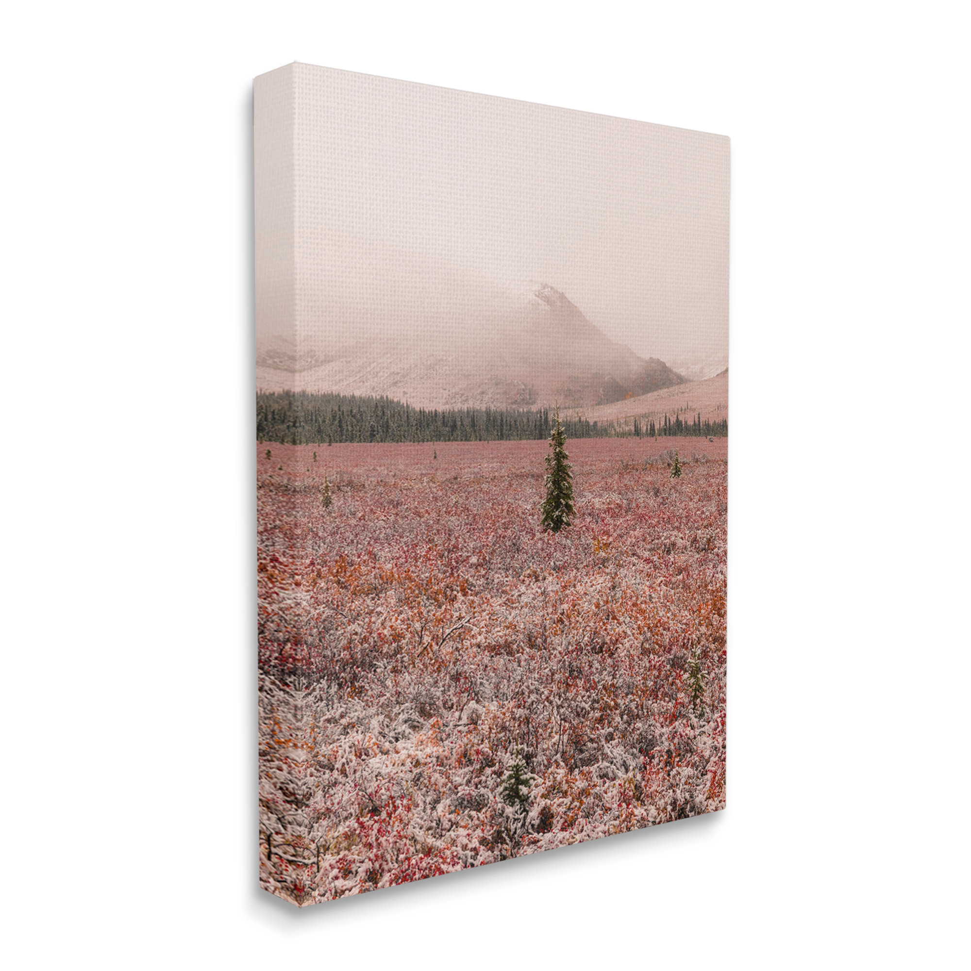 Millwood Pines Tree In Foggy Landscape On Canvas by Daniel Sproul Print ...