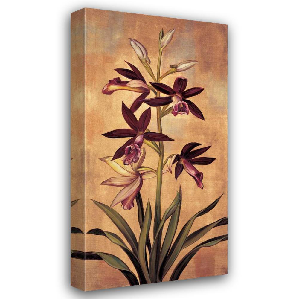 Lark Manor™ Deveraux, Jill Gallery Wrapped Canvas Art Titled: Burgundy Orchid | Wayfair
