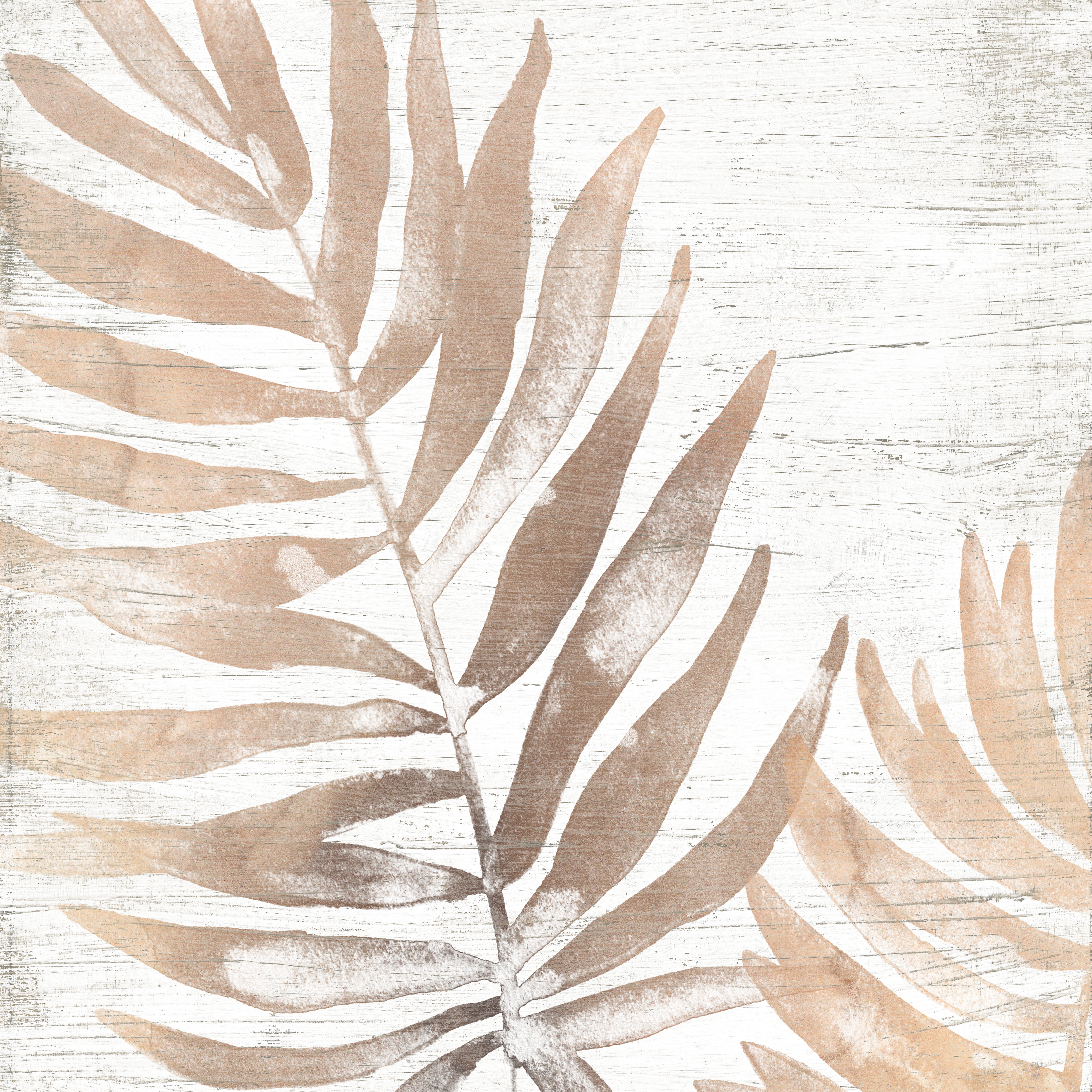 Sansibar Home Neutral Palm Fossil II by June Erica Vess - Wrapped ...