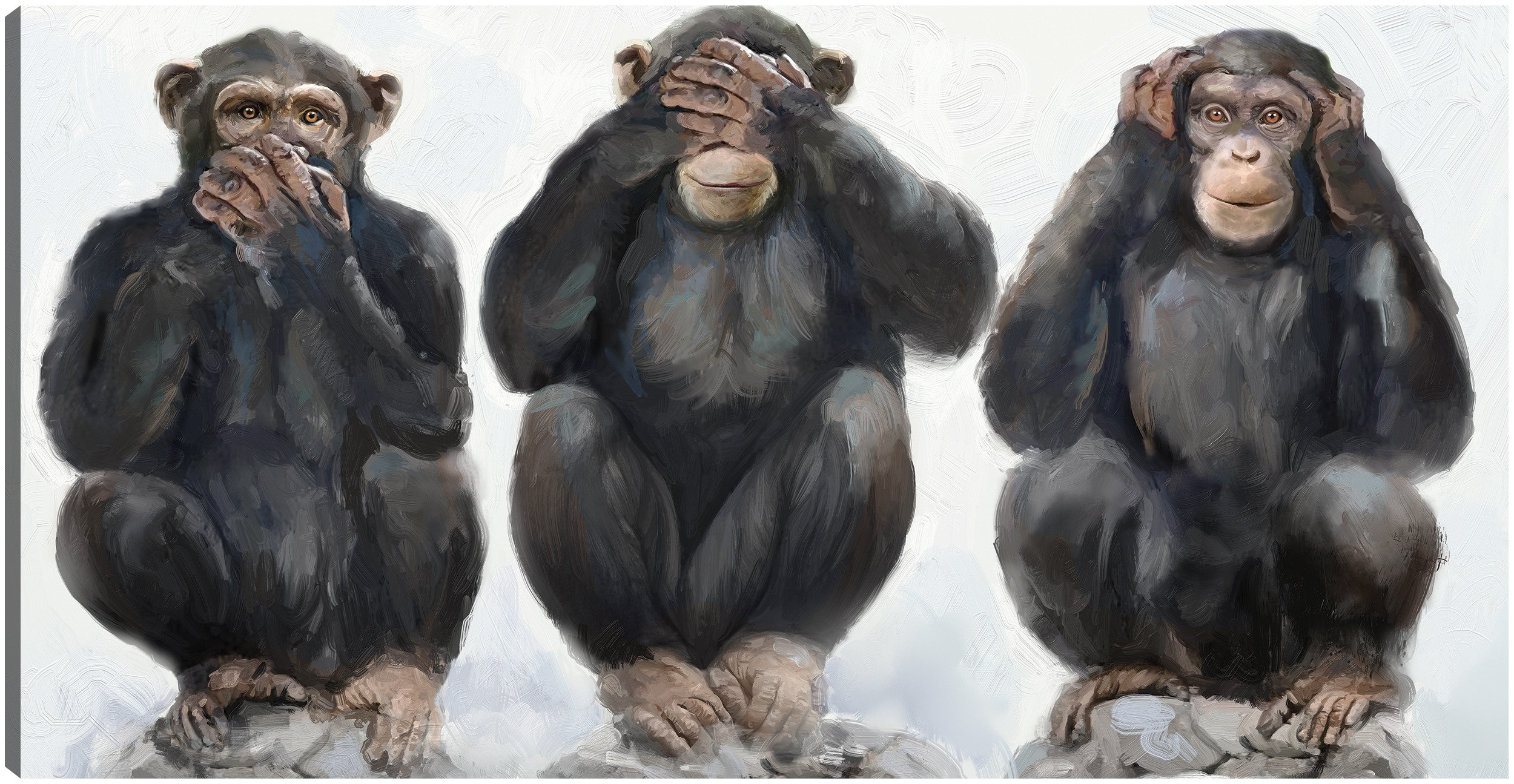 Dakota Fields Three Monkeys by Studio Arts Canvas Art Print | Wayfair