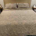 Waterford Bedding Carrick Silver/Champagne Microfiber Reversible 6 ...