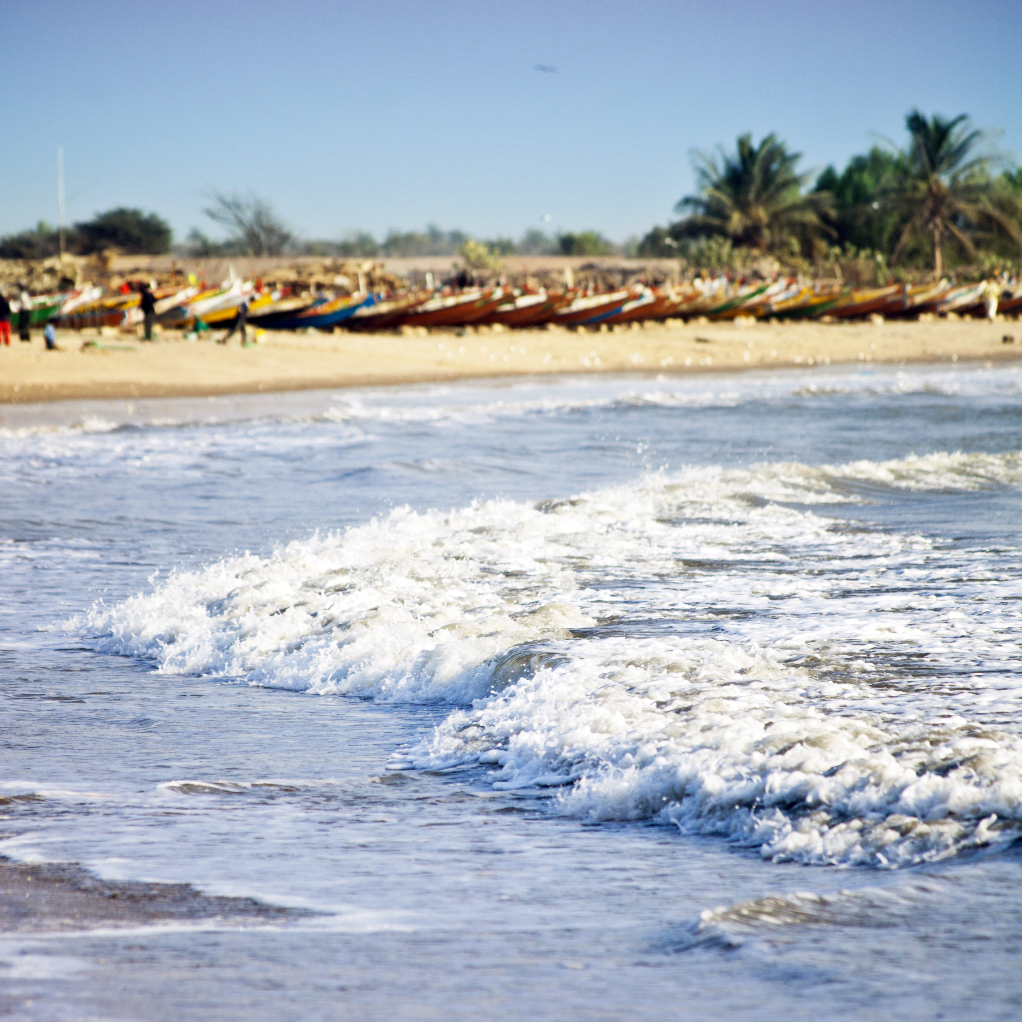 Highland Dunes African Beach Scene by - Wrapped Canvas Photograph ...